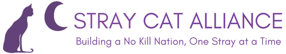 Save cats and kittens with a donation to Stray Cat Alliance